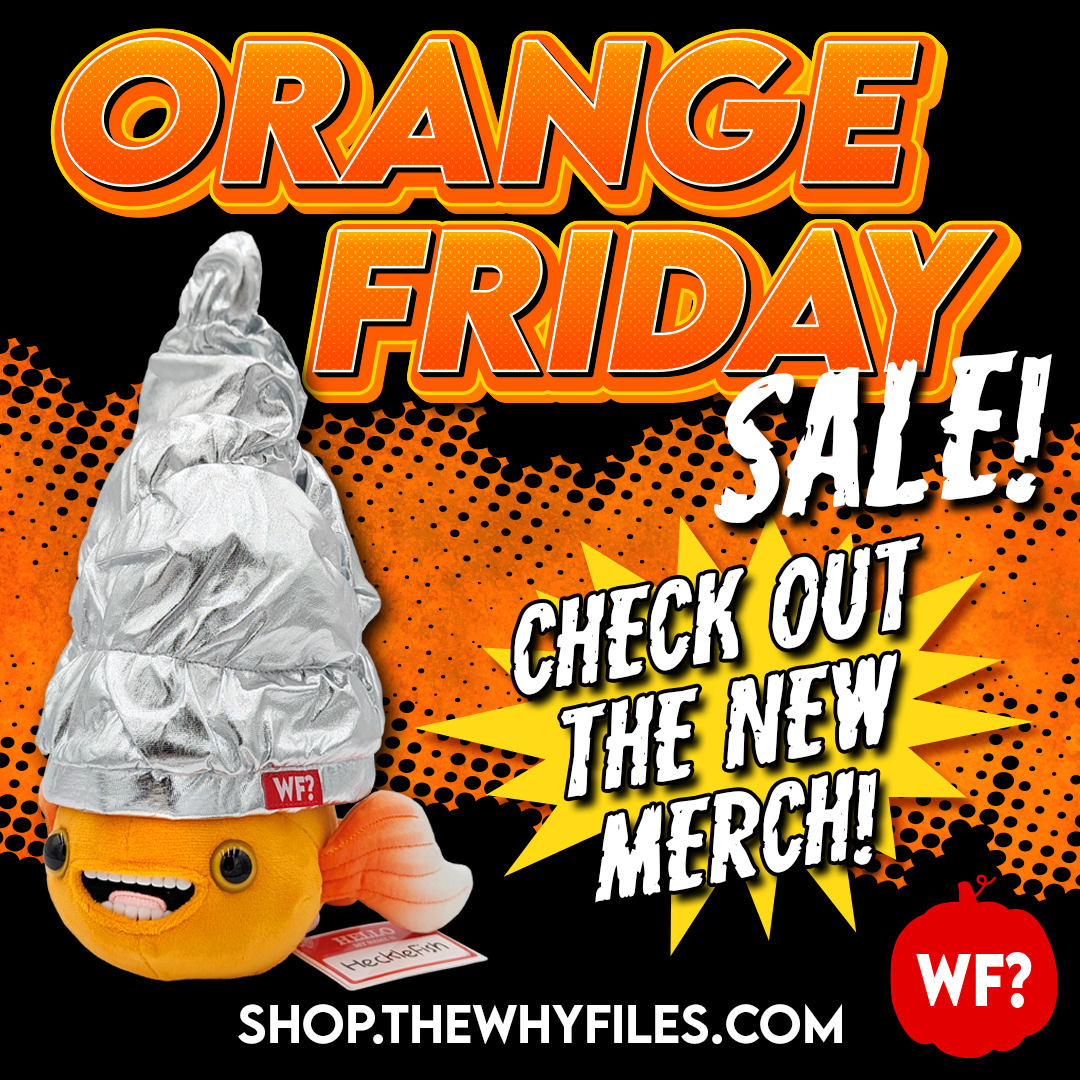 Orange Friday Sale! | The Why Files