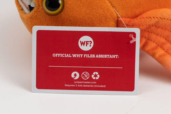 Accessories | The Why Files