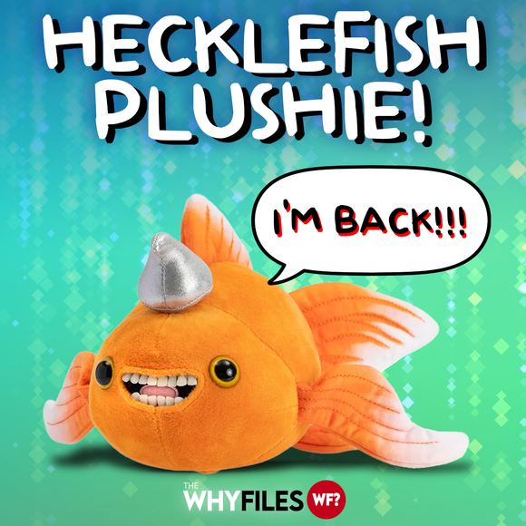 Official Hecklefish Talking Plushie IS BACK!!!! | The Why Files